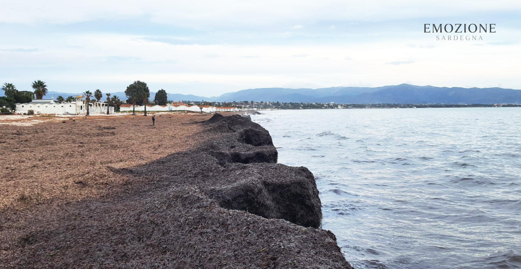 Posidonia sulle spiagge sarde: perché è una risorsa preziosa